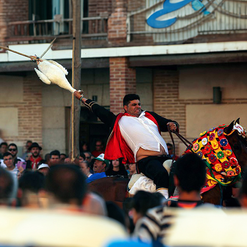 HAA Petitions - Your Urgent Help Needed: Stop this Merciless Tradition ...